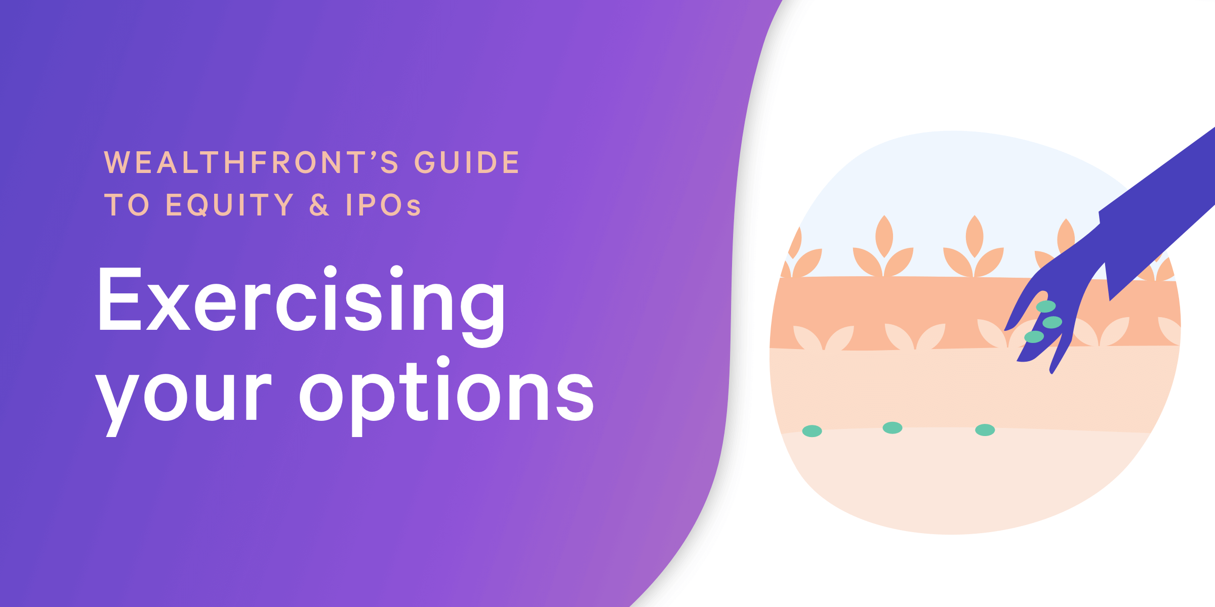 Exercising Your Stock Options | Wealthfront Equity IPO Guide